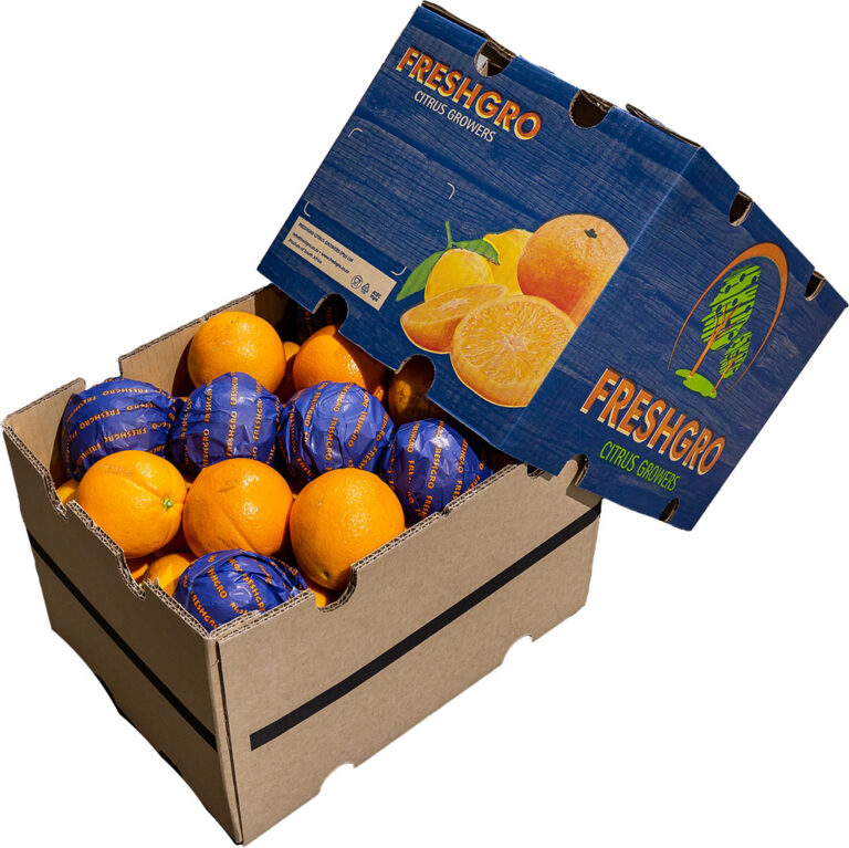 #1 Citrus Packaging | Citrus Fruit Export