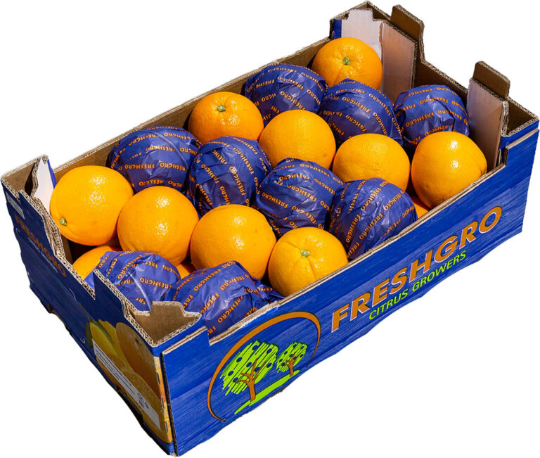#1 Citrus Packaging | Citrus Fruit Export