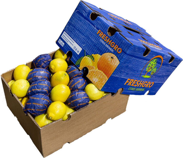#1 Citrus Packaging | Citrus Fruit Export